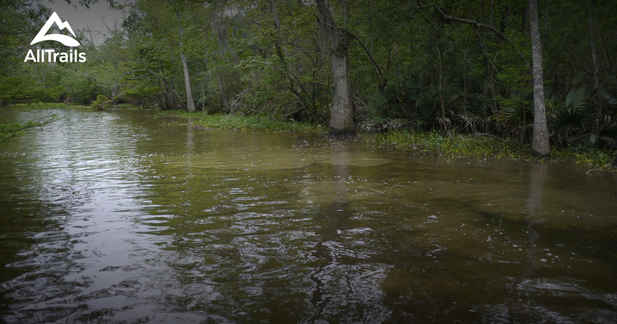 Best hikes and trails in Tupelo Swamp | AllTrails