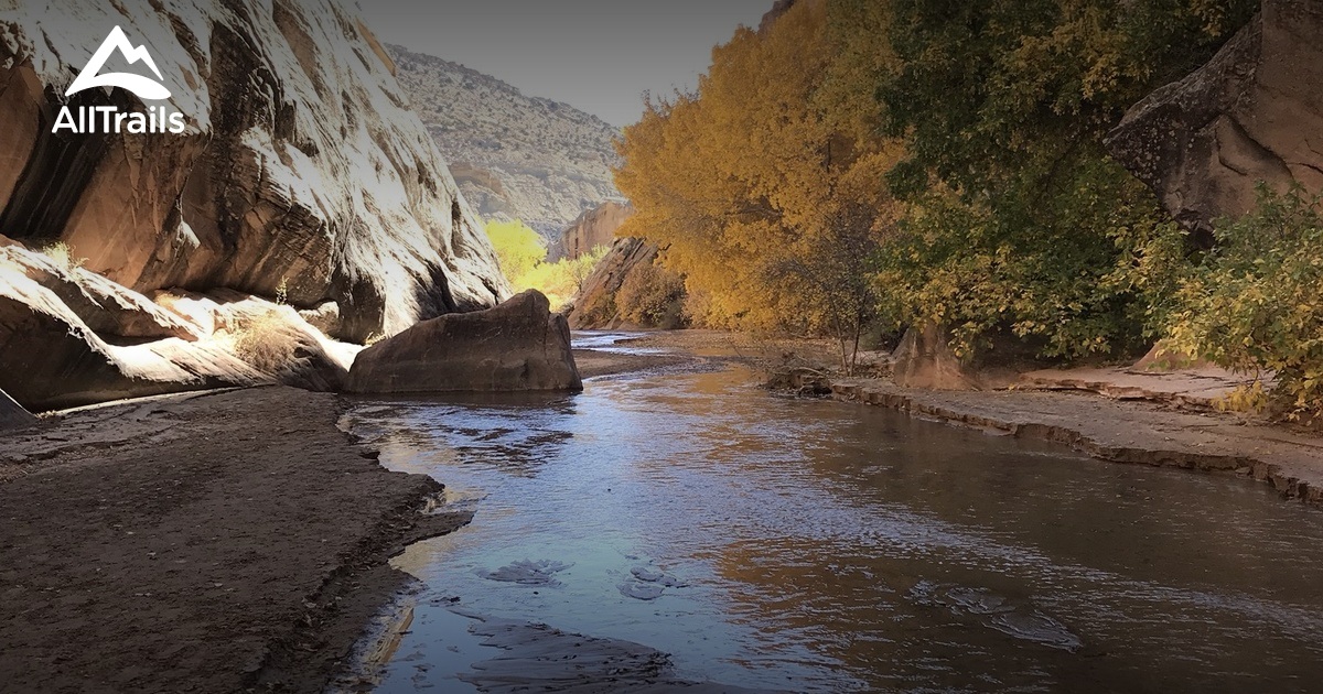 Best hikes and trails in The Cockscomb Wilderness Study Area | AllTrails