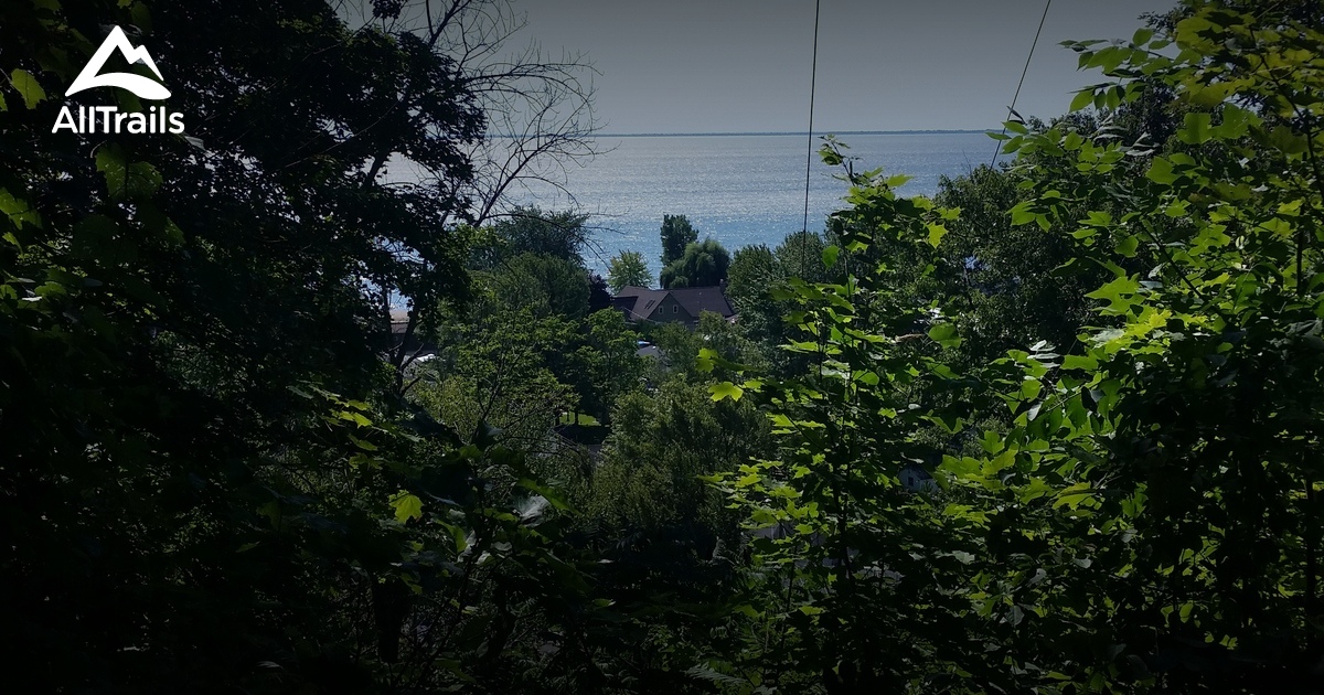 Best hikes and trails in Turkey Point Provincial Park | AllTrails