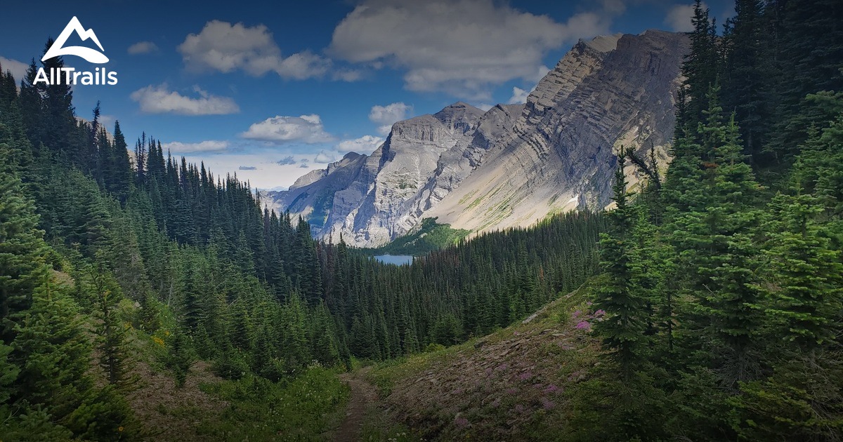 Best strenuous trails in Evan-Thomas Provincial Recreation Area | AllTrails