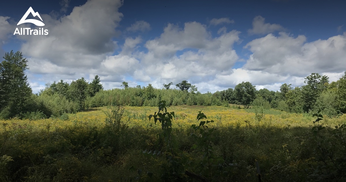 Best Trails in High Ridge Wildlife Management Area - Massachusetts ...