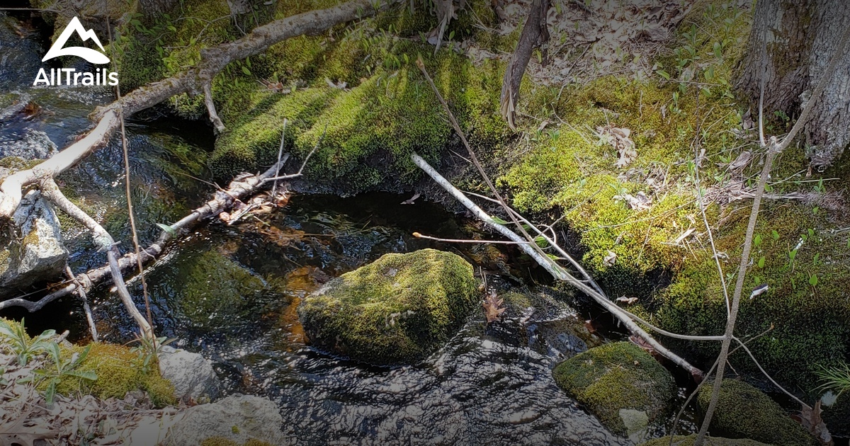 Best Hikes and Trails in High Ridge Wildlife Management Area | AllTrails