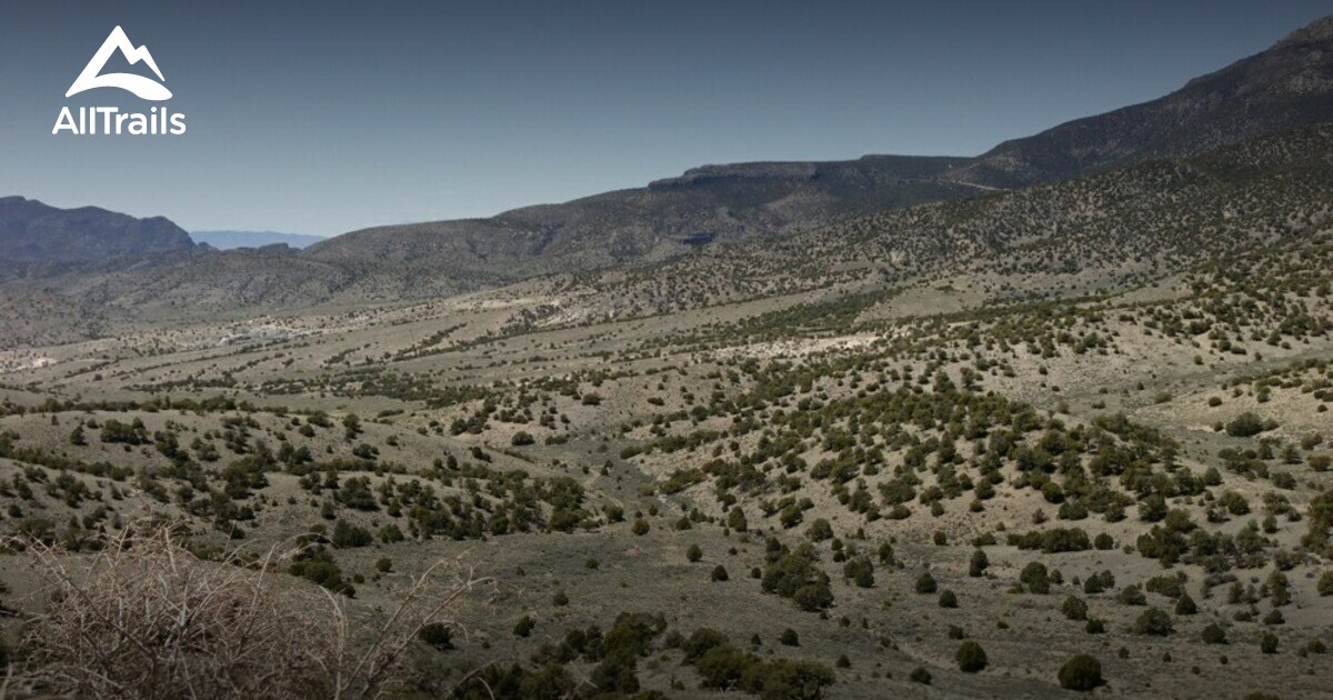 Best hikes and trails in Swasey Mountain Wilderness Study Area | AllTrails