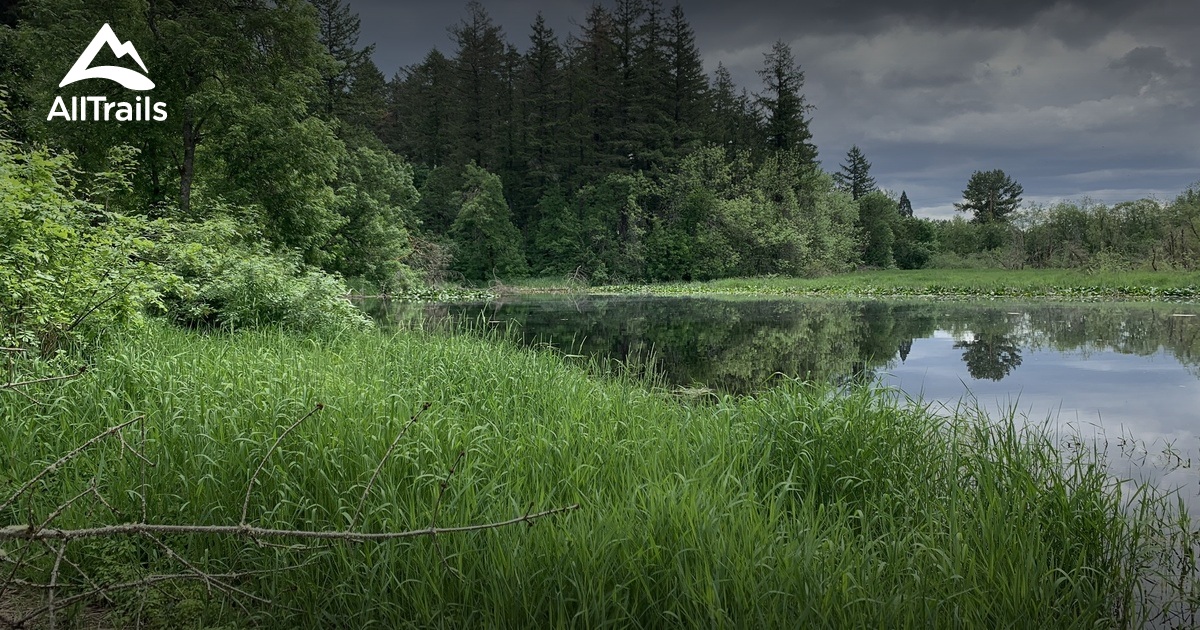 Best hikes and trails in Lake Lois Habitat Reserve | AllTrails