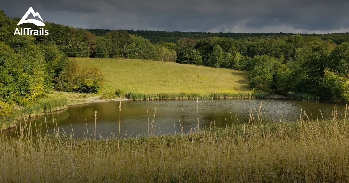 Best hikes and trails in Wittman Dam | AllTrails