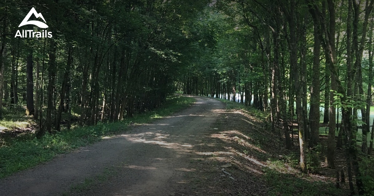 Die Besten Spaziergänge in Pee Dee National Wildlife Refuge | AllTrails