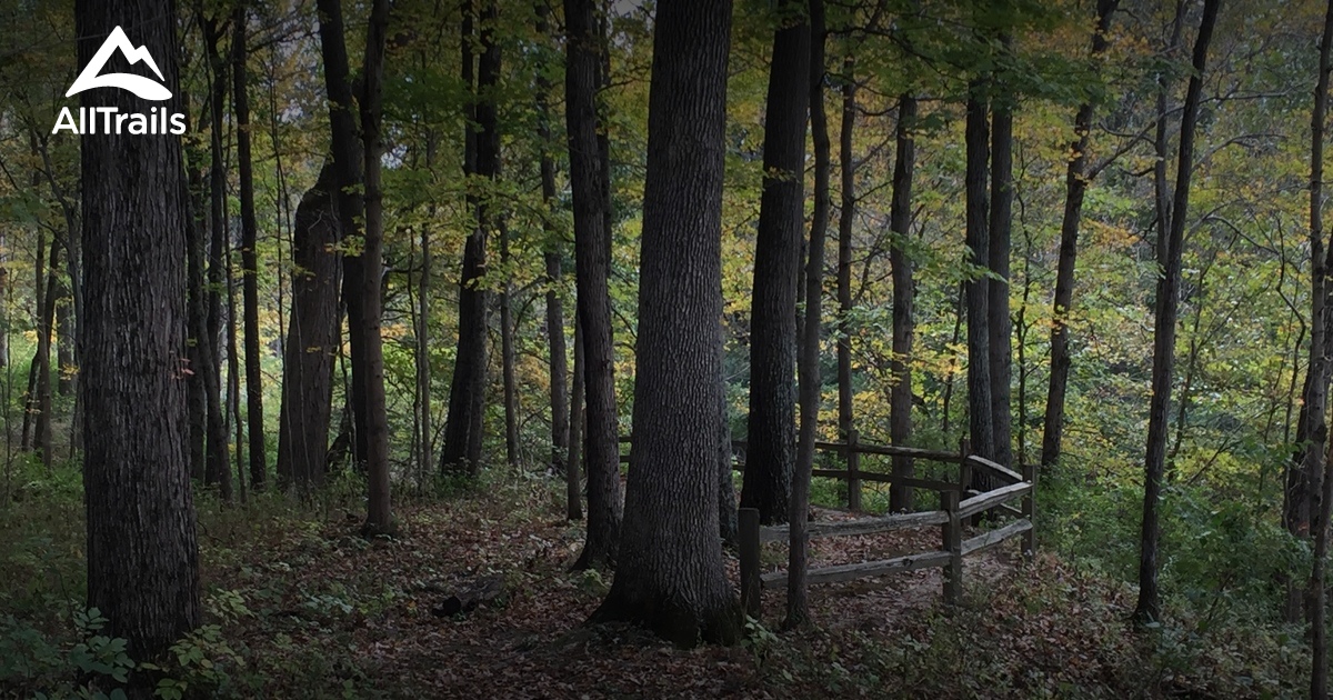 Best Trails in Fernald Preserve | AllTrails.com