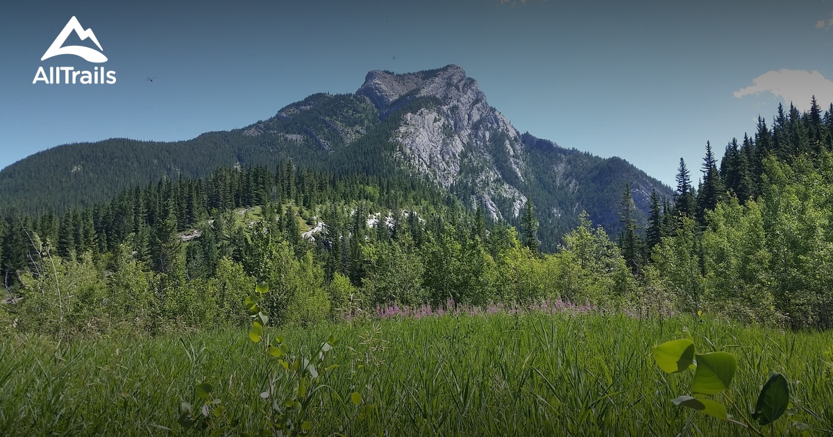 Best hikes and trails in Heart Creek Provincial Recreation Area | AllTrails