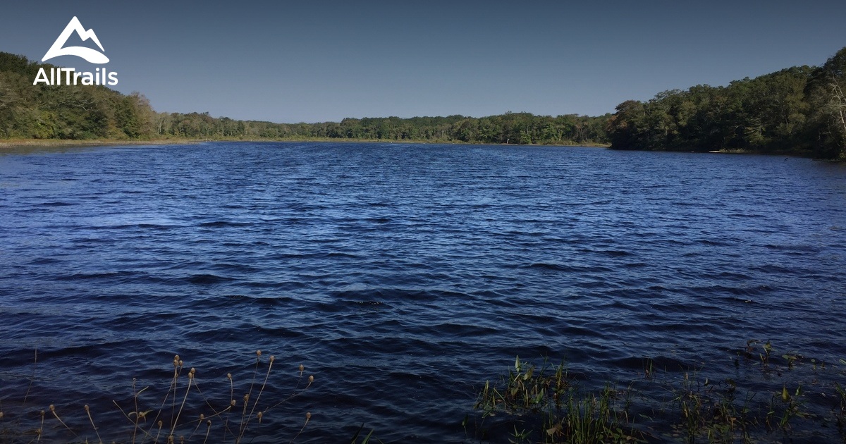 Best hikes and trails in Simmons Mill Pond Management area | AllTrails
