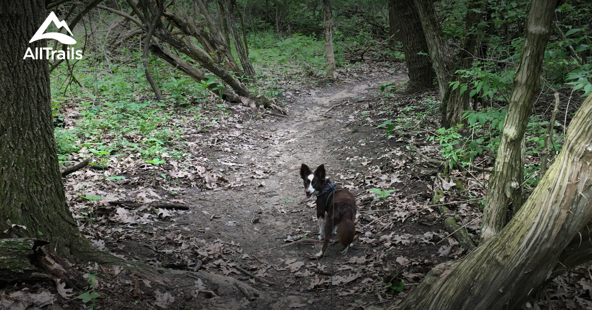 Best trails in Ella Sharp Park, Michigan | AllTrails