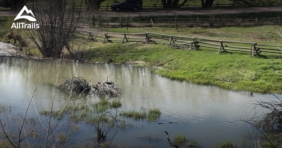 Best hikes and trails in Hardware Wildlife Management Area | AllTrails