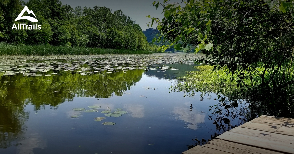 Best hikes and trails in Two Rivers Park | AllTrails