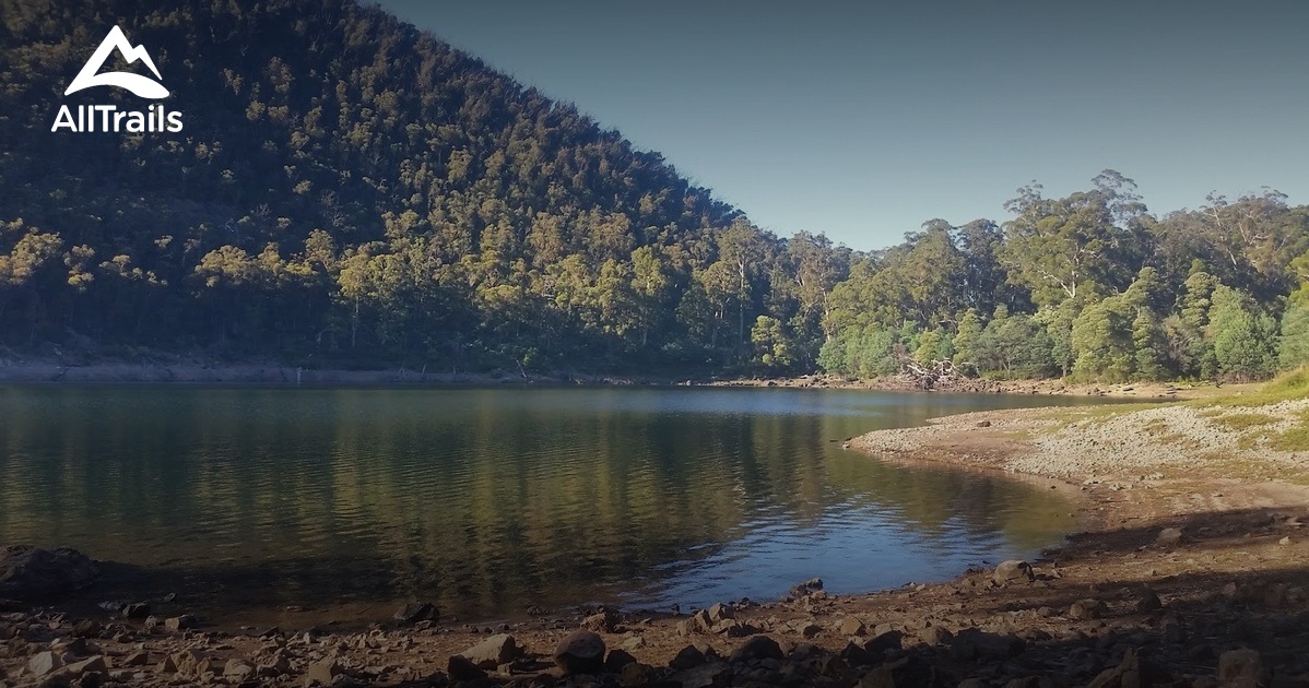 Best Trails in Alpine National Park - Victoria, Australia | AllTrails