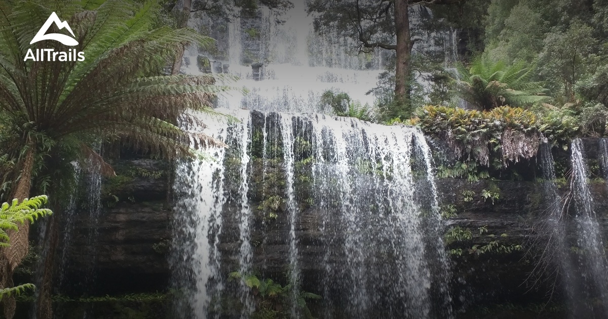 Parc national du Mont-Field : les 10 meilleures randonnées et ...