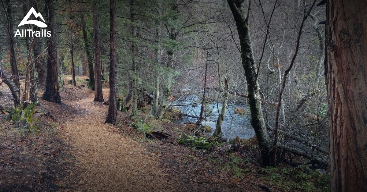 Best hikes and trails in Mount Shasta City Park | AllTrails