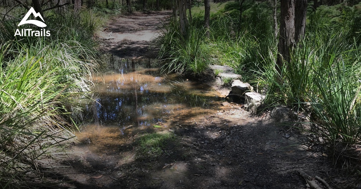 Los mejores senderos y rutas en Parque Nacional de las Praderas Venman ...