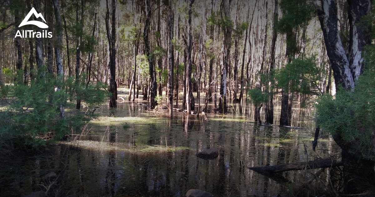 10 Best hikes and trails in Karawatha Forest Park | AllTrails