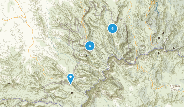 Best Trails in Lamington National Park | 96 Photos & 10 Reviews | AllTrails