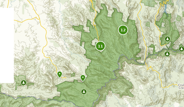 Best Trails in Lamington National Park - Queensland, Australia | AllTrails