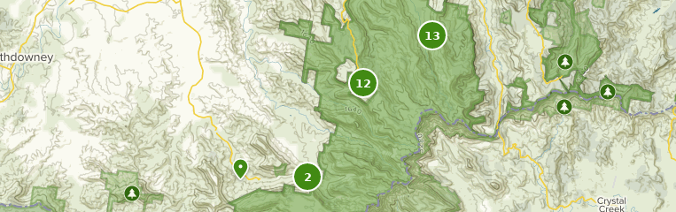 Best Trails in Lamington National Park - Queensland, Australia | AllTrails