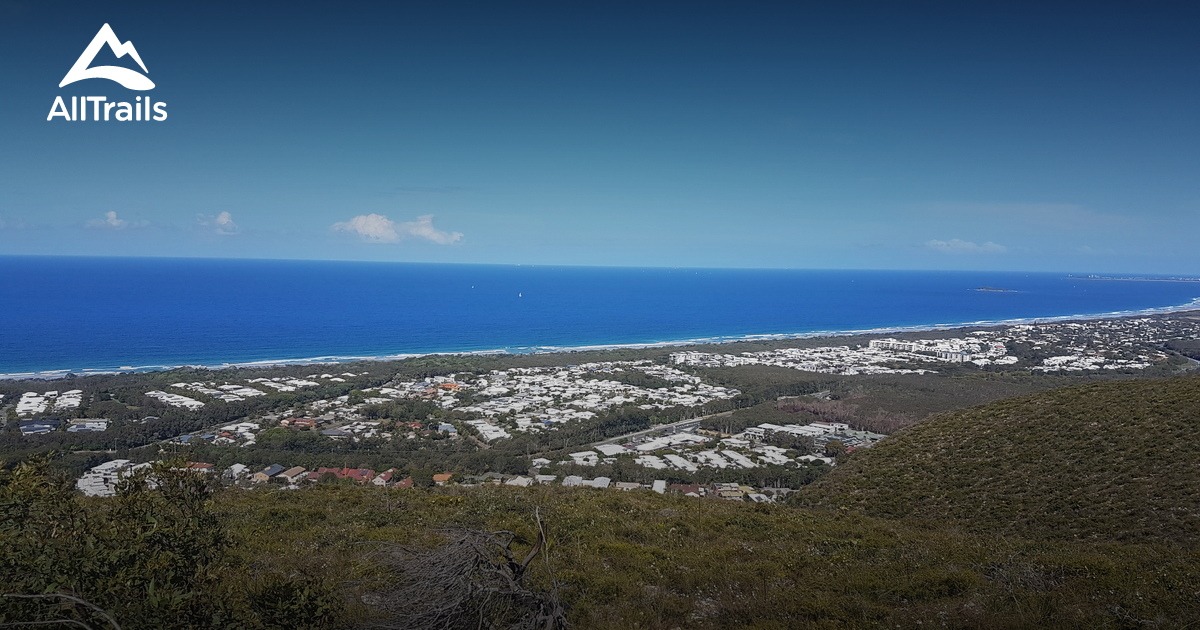 Best hikes and trails in Mount Coolum National Park | AllTrails