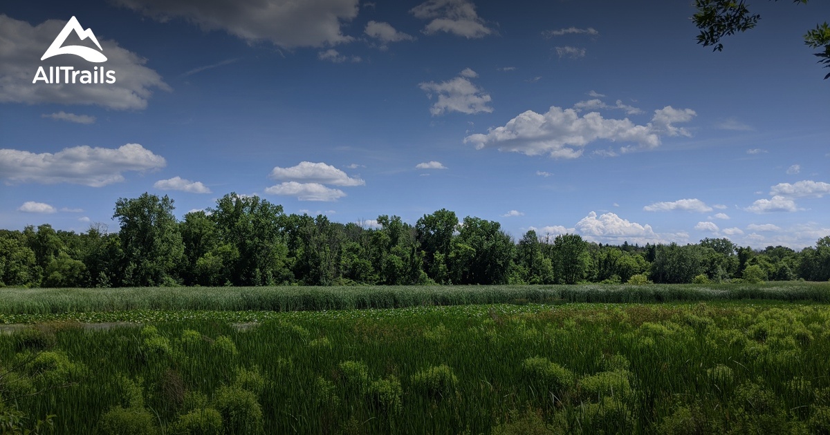 Bästa lederna för hundar i koppel i Vischer Ferry Nature and Historic ...