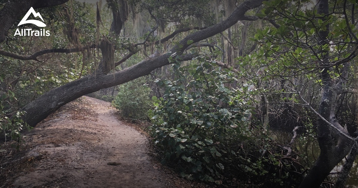 Best trails in Emerson Point Preserve, Florida | AllTrails