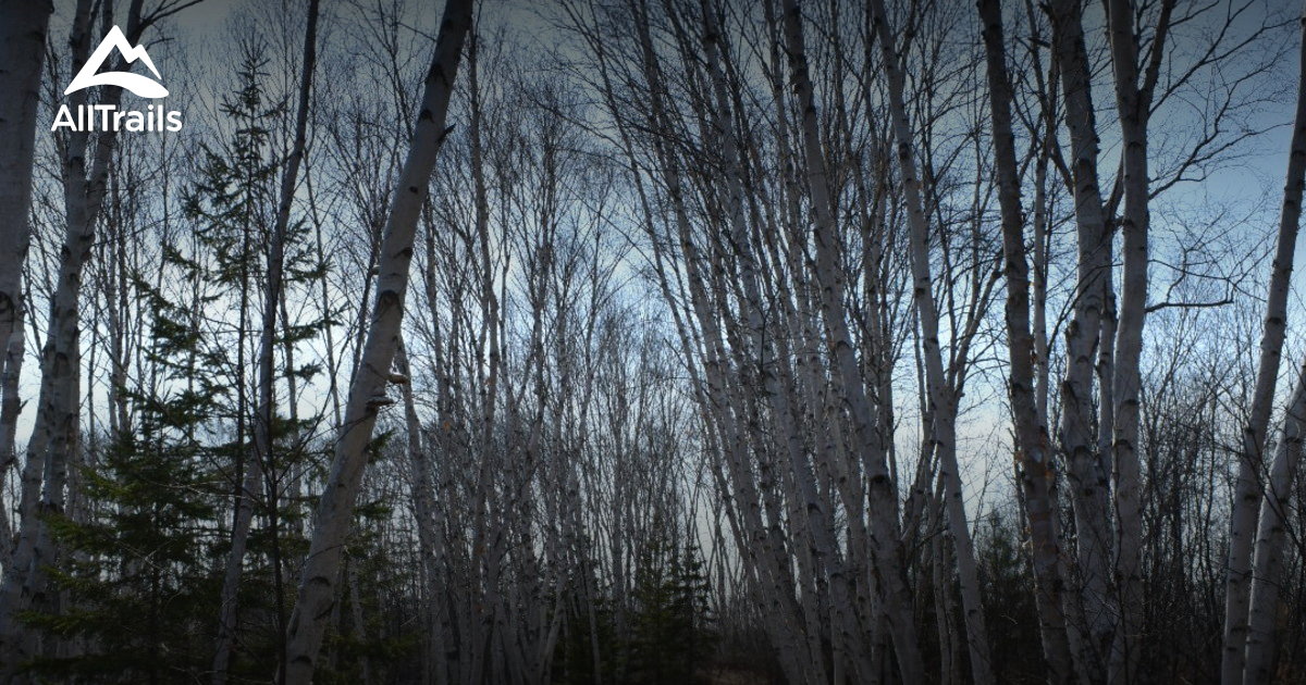 Best hikes and trails in Langdon Park | AllTrails