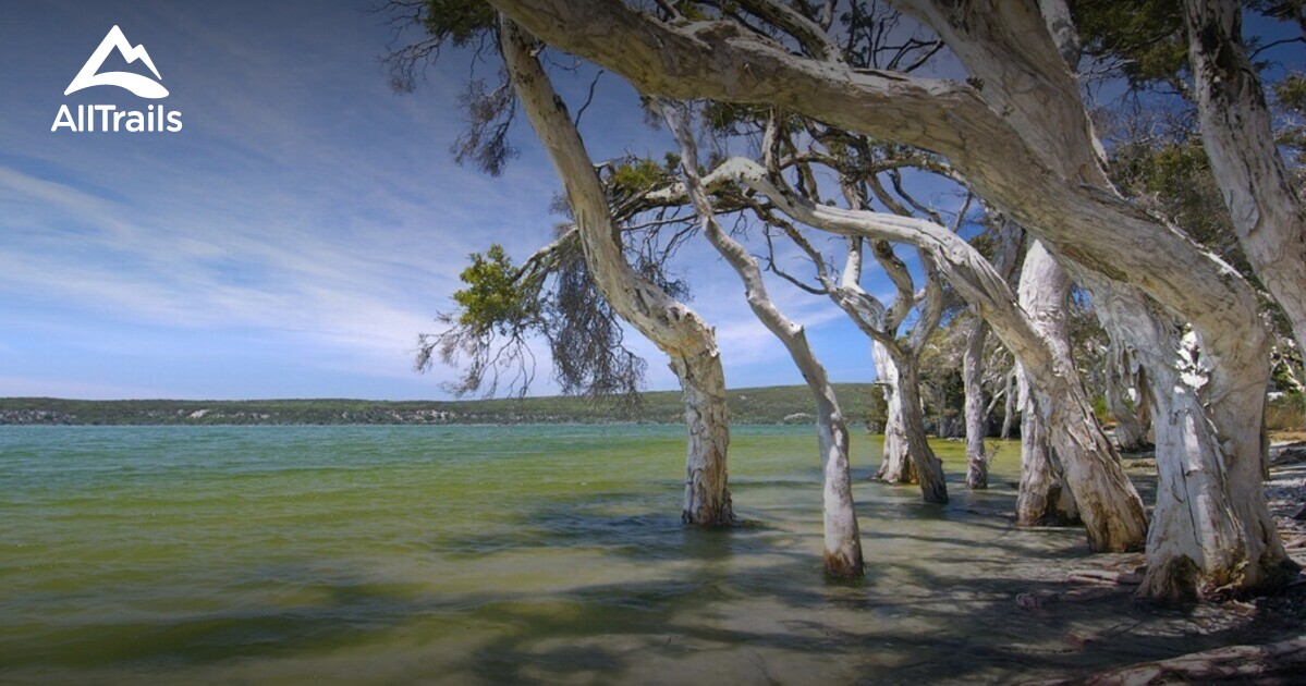 Best hikes and trails in Stokes National Park | AllTrails