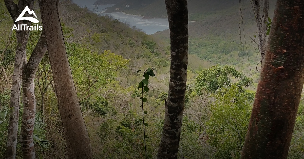 10 Best hikes and trails in Virgin Islands National Park | AllTrails