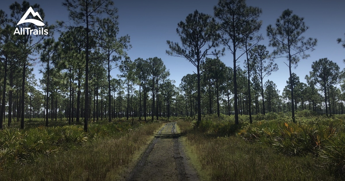 Best Trails in Allen David Broussard Catfish Creek Preserve State Park ...