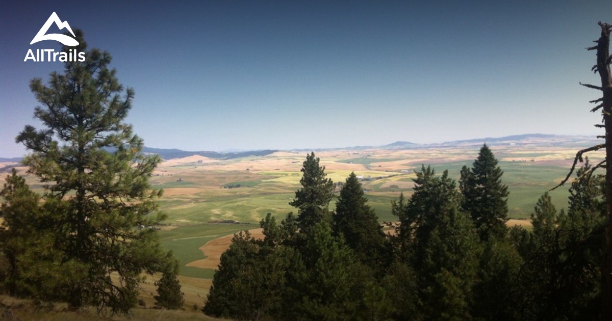Best Trails in Kamiak Butte County Park - Washington | AllTrails