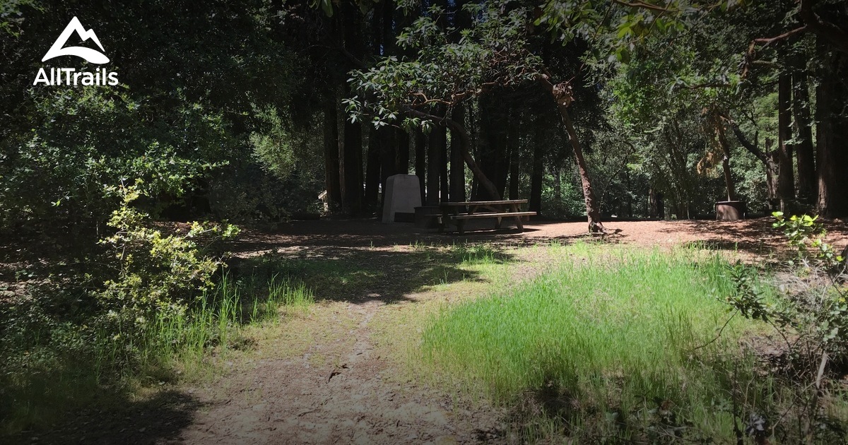 Best Trails in Mount Madonna County Park - California | AllTrails