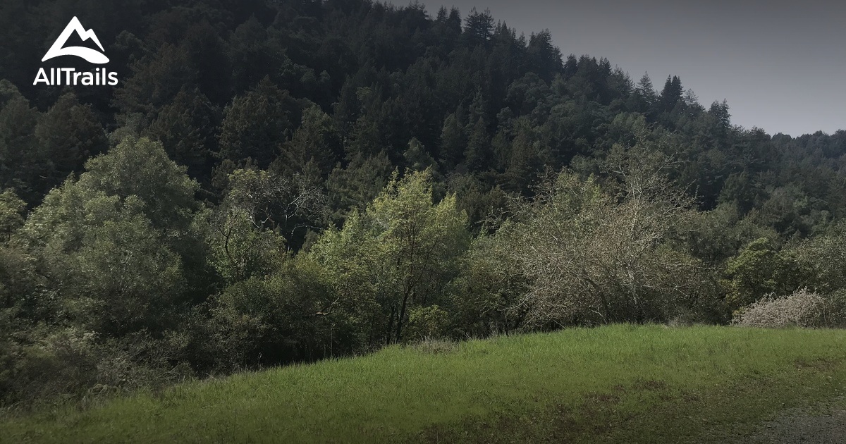 Best Trails in Mount Madonna County Park - California | AllTrails