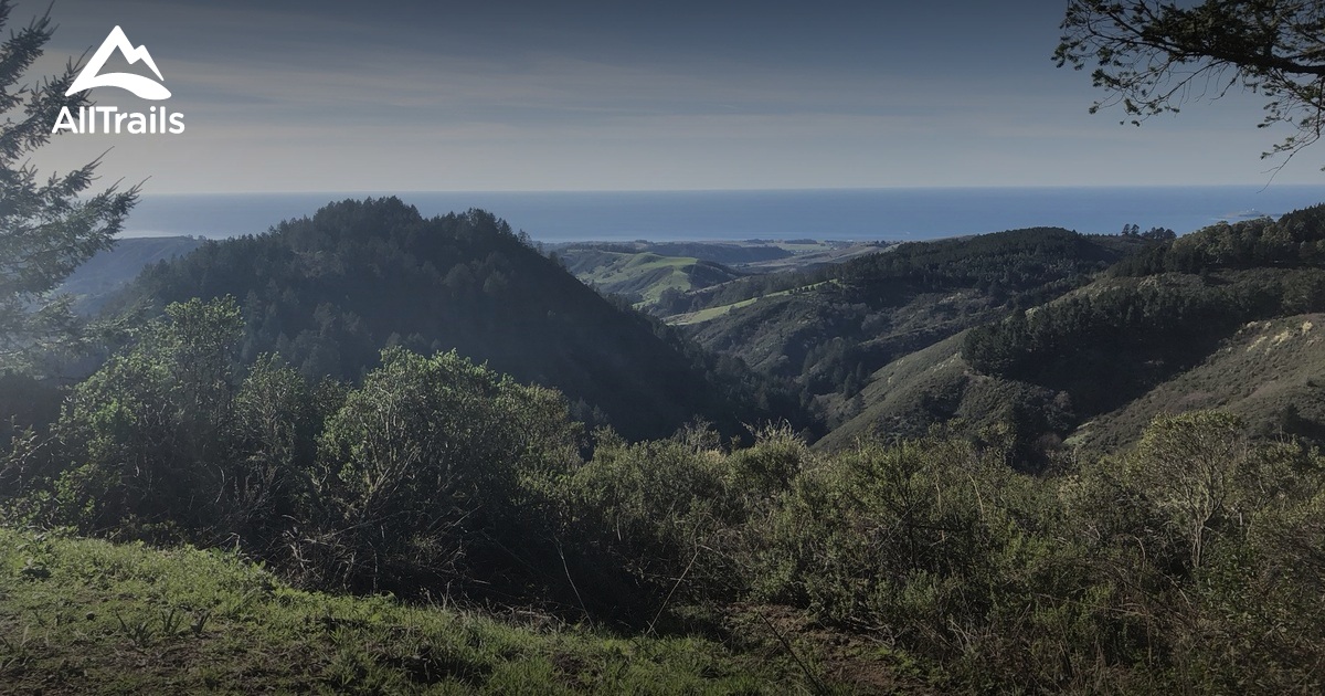 10 Best hikes and trails in Purisima Creek Redwoods Open Space Preserve ...