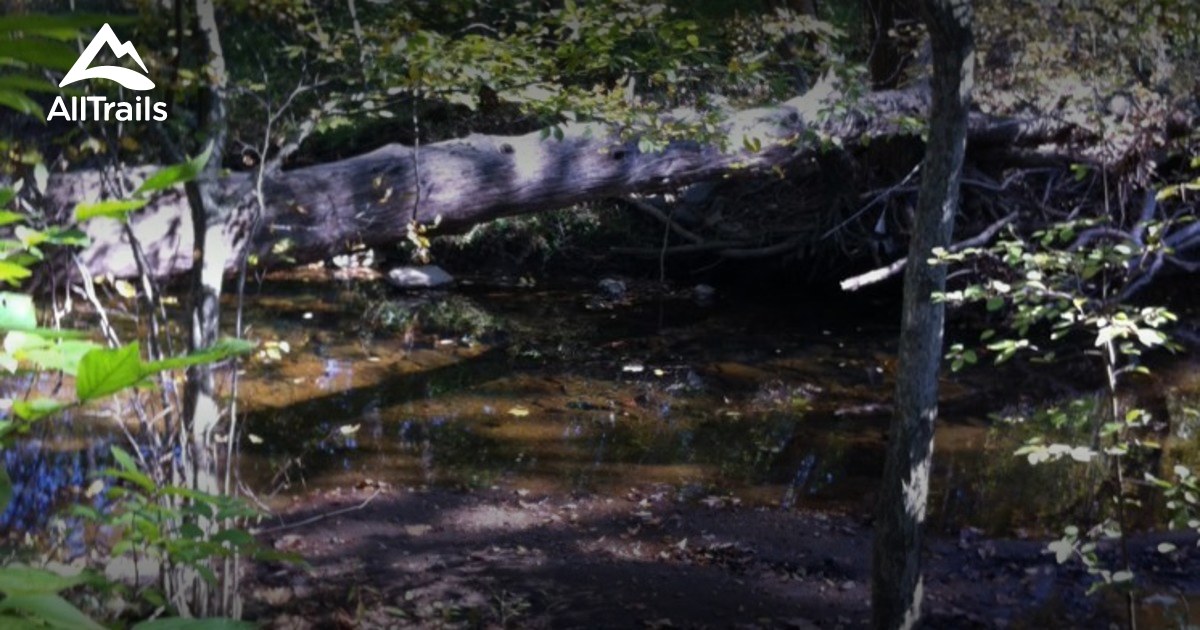 Best Trails in Sugarland Run Stream Valley Park - Virginia | AllTrails