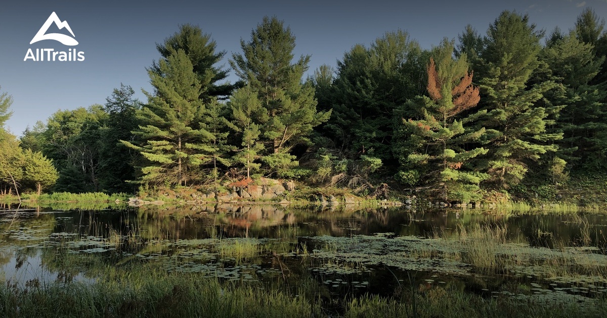 10 Best hikes and trails in Charleston Lake Provincial Park | AllTrails