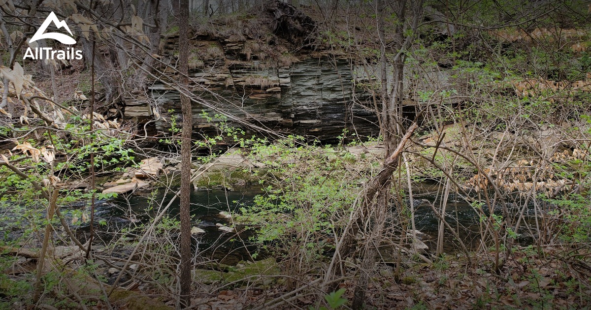 Best hikes and trails in Lowe-Volk Park | AllTrails