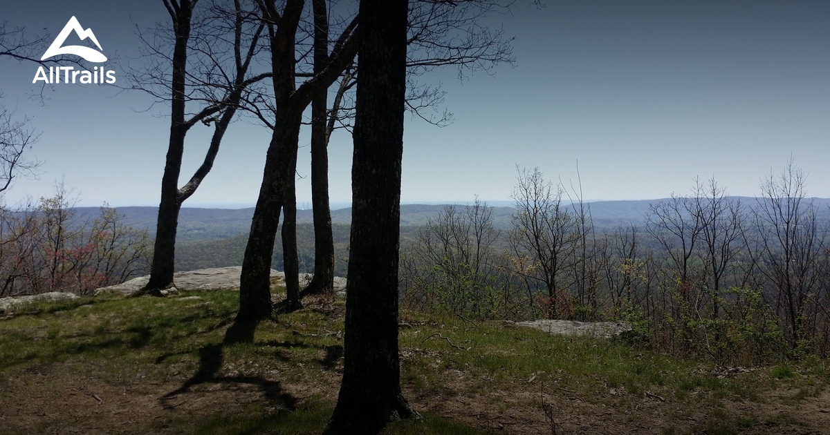 Best hikes and trails in Lone Mountain State Forest | AllTrails