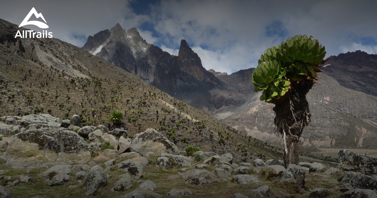 Best Trails in Mount Kenya National Park - Central, Kenya | AllTrails