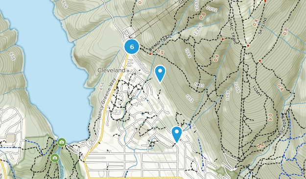 Best Trails in Grouse Mountain Park - British Columbia, Canada | AllTrails