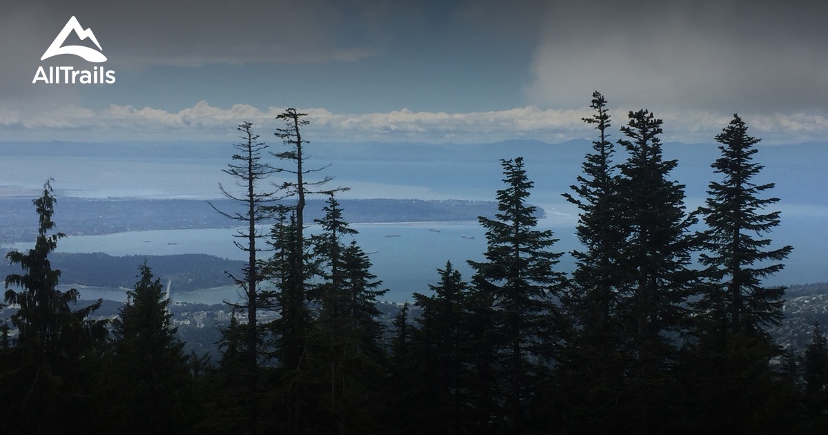 Best Trails in Grouse Mountain Park - British Columbia, Canada | AllTrails