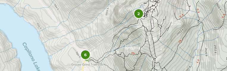 Best Trails in Grouse Mountain Park - British Columbia, Canada | AllTrails