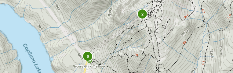 Best Trails in Grouse Mountain Park - British Columbia, Canada | AllTrails