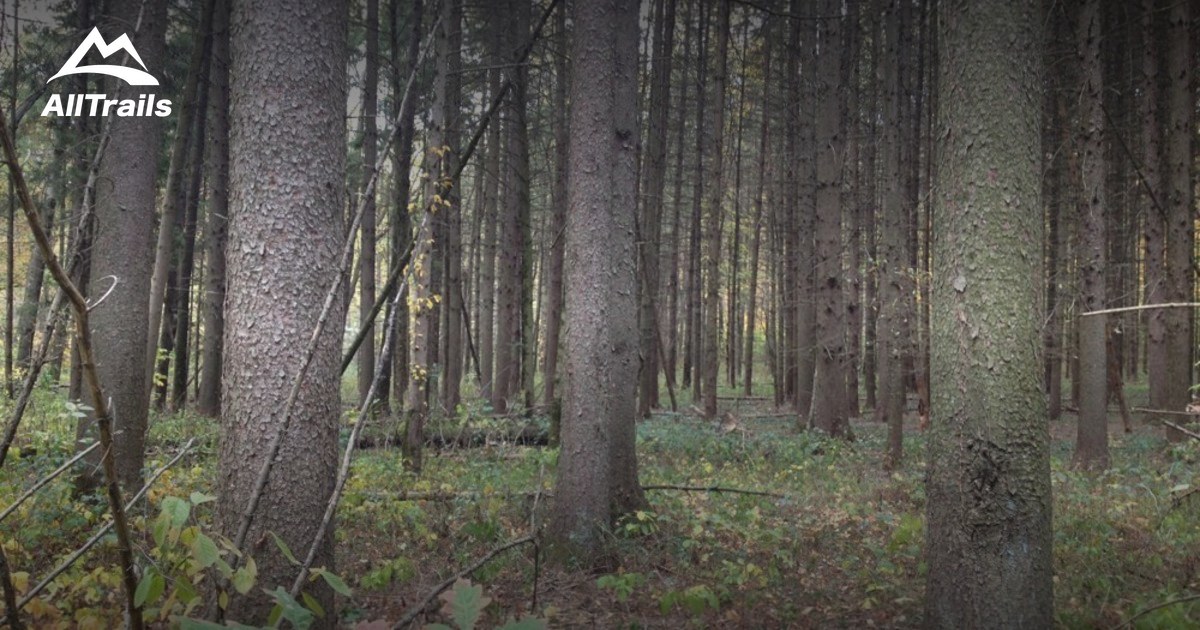 Best Trails in Lowden-Miller State Forest | AllTrails.com