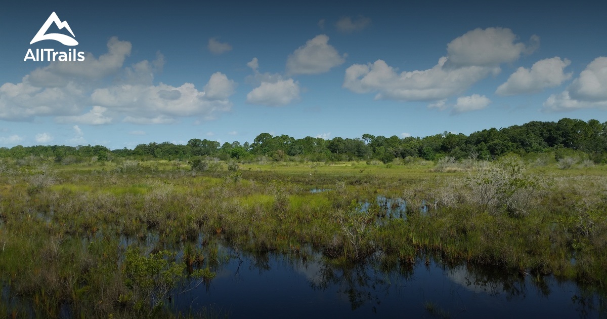 Best Trails in Lake Lizzie Conservation Area - Florida | AllTrails