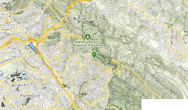 Best Trails in Huckleberry Botanic Preserve - California | AllTrails