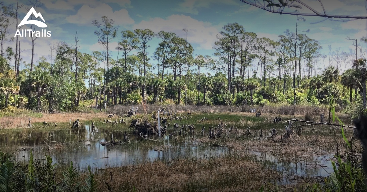 Best Hikes and Trails in Gordon River Greenway Park | AllTrails