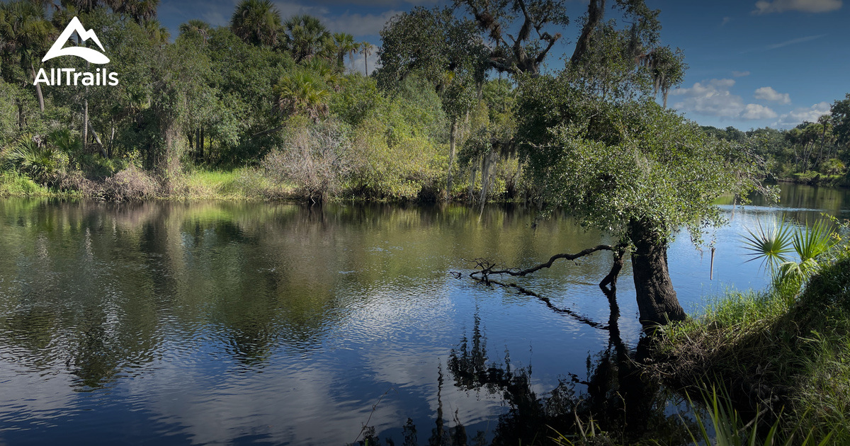 Best hikes and trails in Sleeping Turtle Preserve North | AllTrails