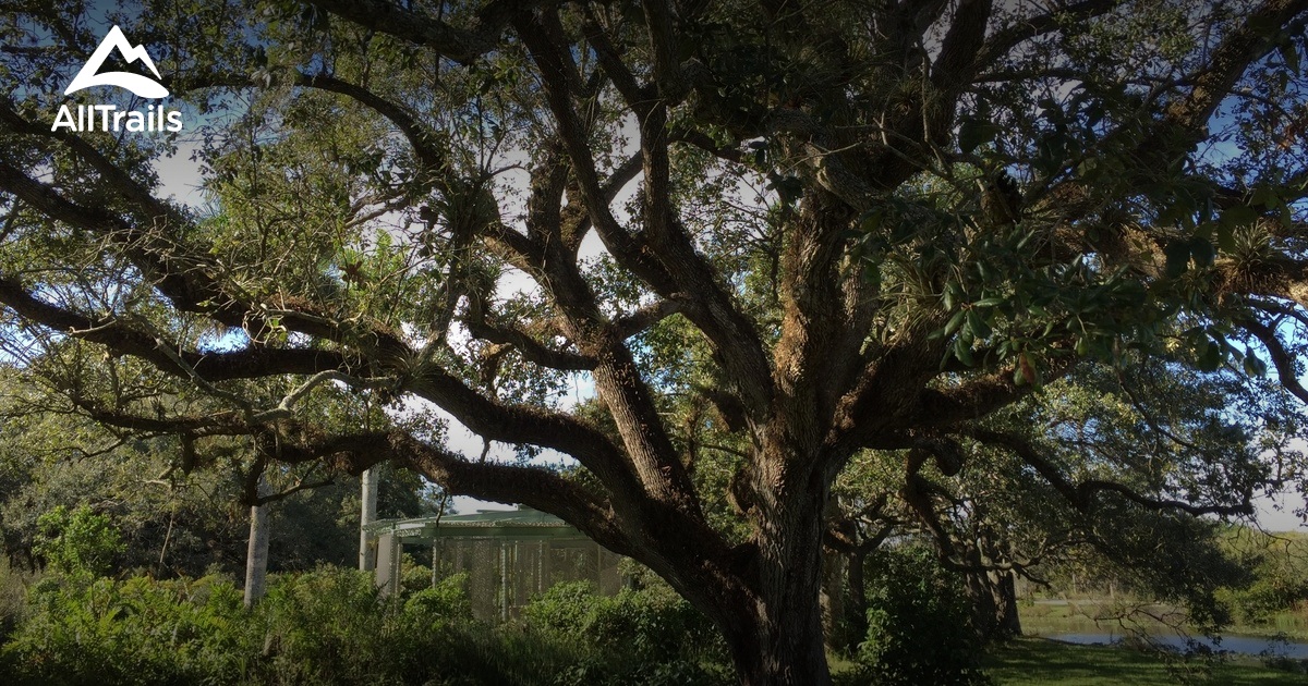 Best hikes and trails in Long Key Natural Area | AllTrails